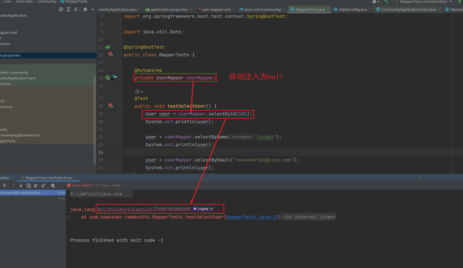 SpringBoot单元测试中自动注入报空指针 – 方堃的blog
